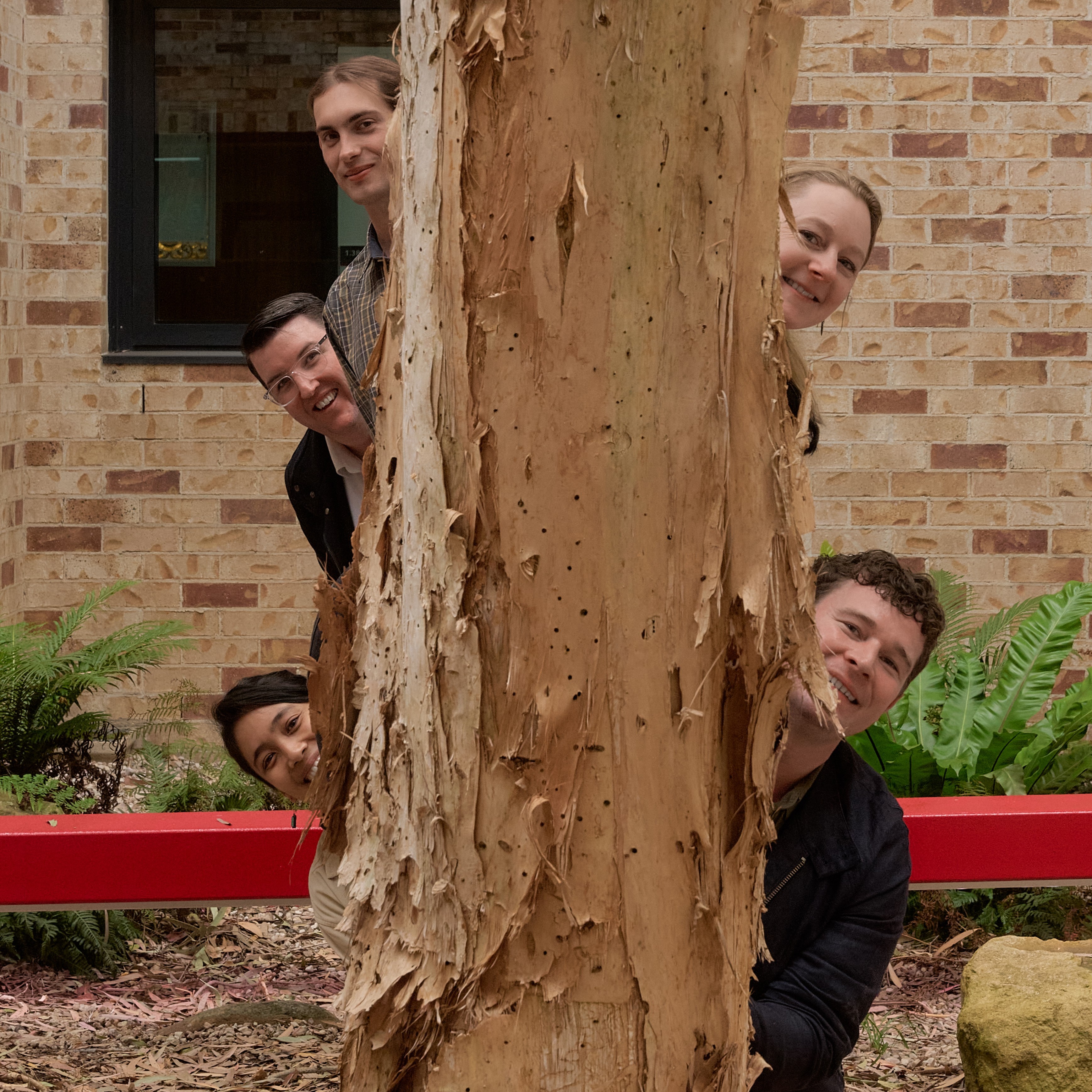 What’s Happening in Meanjin | TCL